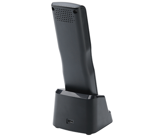 FIP16PLUS - Flying Voice Portable Dual-Band IP Phone with Clip ...